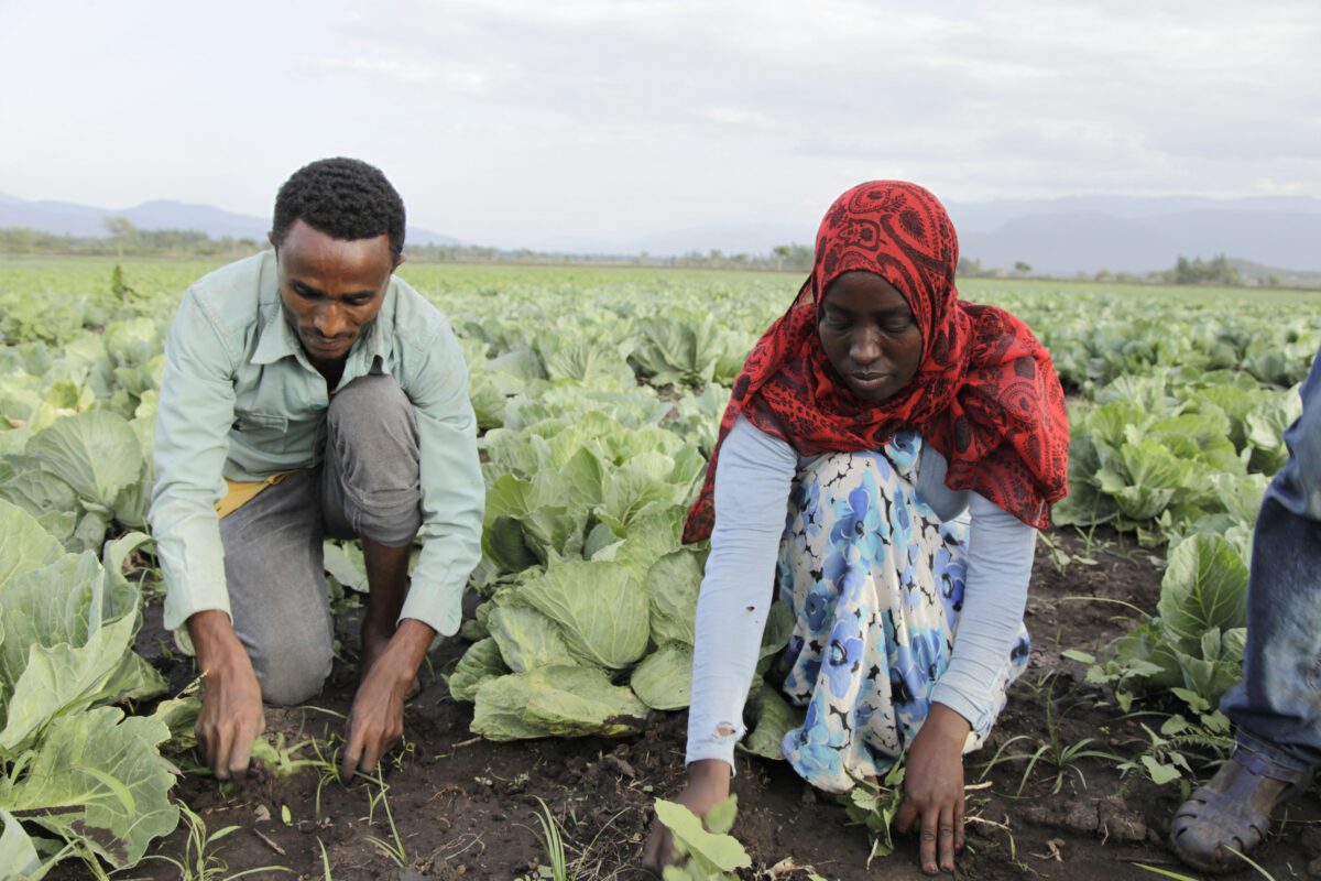 Encouraging youth engagement in farming - FarmingFarmersFarms