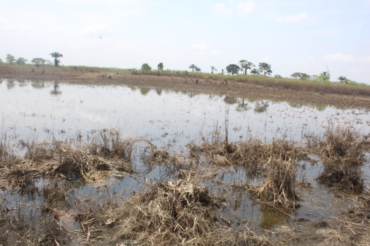 Farmers lament poor response to flood warnings - FarmingFarmersFarms