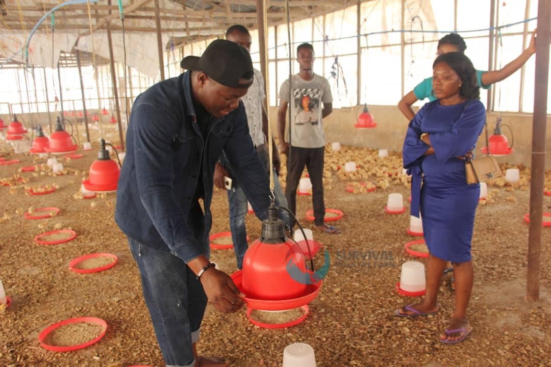 I got my hands burnt doing poultry business – SAHL’s CEO ...