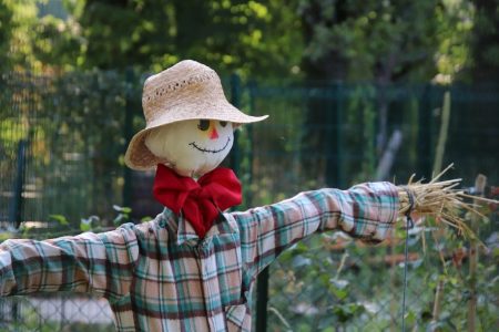 Traditional scarecrow practices to reduce pest attacks on farms