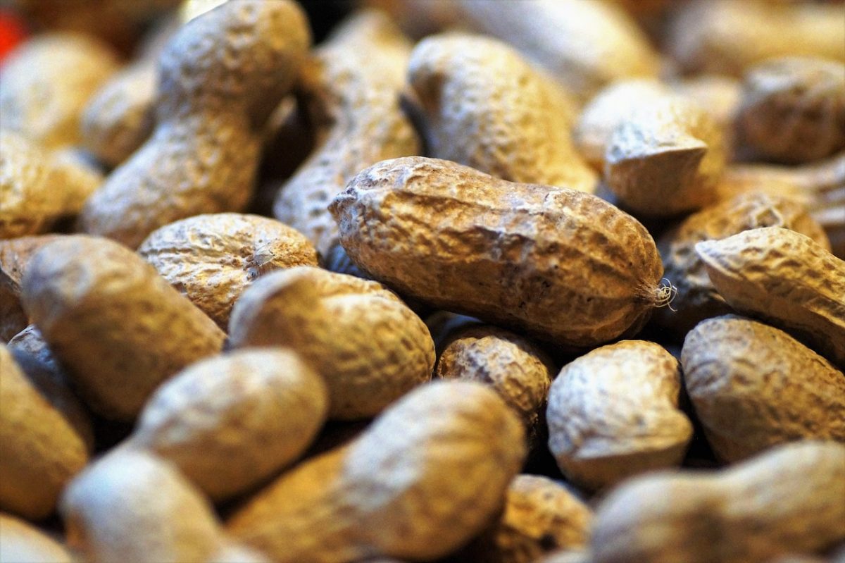 How to maximise benefits of groundnuts/peanuts
